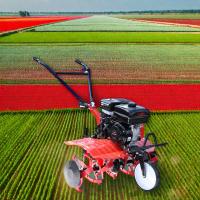 China 40CM Working Width 7hp Gasoline Rotary Rotavator for Tilling Farm Garden Cultivation for sale