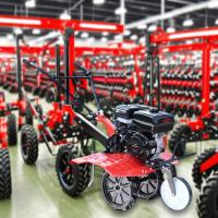 China 40CM Working Width Mini Power Tiller Cultivators Recoil Start Rotovator for Garden Tools for sale