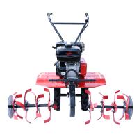 China 40CM Working Width Mini Power Tiller Cultivators Recoil Start Rotovator for Garden Tools for sale