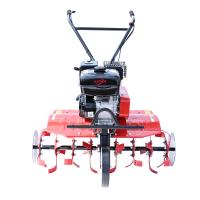 China Garden Cultivator 5hp Rotary Recoil Start Power Tiller Weeder Cultivators Gasoline Farm Machine for sale