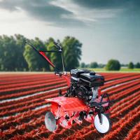 China Garden Cultivator 5hp Rotary Recoil Start Power Tiller Weeder Cultivators Gasoline Farm Machine for sale