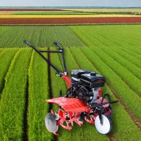 China Garden Cultivator 5hp Rotary Recoil Start Power Tiller Weeder Cultivators Gasoline Farm Machine for sale