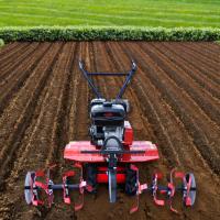 China Multifunctional Agricultural Weeder 170f 212cc Rotary Tiller for Ditching and Ridging for sale