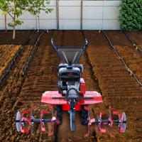 China Powerful 5hp/7hp/9hp/12hp Tiller Farm Cultivator Perfect for Working Depth of 10cm for sale