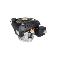 China 3600 Rated Power OHV Air Cooled Single Cylinder Gasoline Engine RV225 for Performance for sale