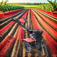 China 5hp 7hp 9hp Gasoline Weeding Cultivator for Tilling Farm and Farming Soil Preparation for sale