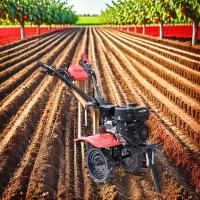 China 5hp 7hp 9hp Gasoline Weeding Cultivator for Tilling Farm and Farming Soil Preparation for sale