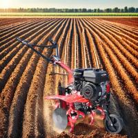 China 170/177/188 Gasoline Engine Micro 4 Stroke Soil Tiller Cultivator Machine for Benefit for sale
