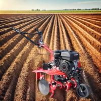 China Leather Drive Belt Transmission Mode Gasoline Cultivators for Agricultural Farming for sale