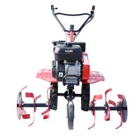 China Powerful Gasoline Mini Land Cultivation Machine for Farming and Garden Weeding in 2024 for sale