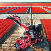China 7hp 9hp 12hp Diesel Mini Power Tiller for Farming Soil Weeding Garden Cultivation for sale