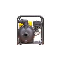China Single Cylinder Sewage Pumps for Agricultural Irrigation and Sewage Treatment in 220v for sale