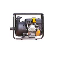 China Single Cylinder Sewage Pumps for Agricultural Irrigation and Sewage Treatment in 220v for sale