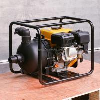 China Single Cylinder Sewage Pumps for Agricultural Irrigation and Sewage Treatment in 220v for sale