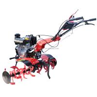 China 7/9/12/15hp Diesel Power Tiller Walking Tractor for Household in Agricultural Farm for sale