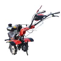China Gear Drive Diesel Engine Power Tiller for Plowing and Subsoiling in Agricultural Usage for sale