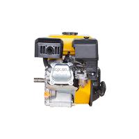 China Rato R160 Single Cylinder Gasoline Engine Garden Frame Power Sprayer with Kick Start for sale