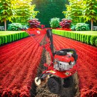 China Engine Subsoiler Cultivator for Compact Rotavator Walking Tractor Farm Work Machinery for sale