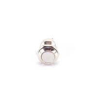 China Self Recovery Micro Push Button Switch 2 Pin 12x12mm Stainless Steel for sale
