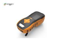 China Industrial Phosphine Gas Detector IP66 0-1000ppm Pump Suction Portable Gas Monitor for sale