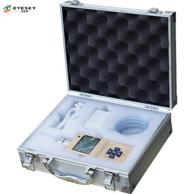 China Pump Sampling ES20B Single Gas Detector Suction Type 0-100%LEL H2 Methane Leak Test for sale