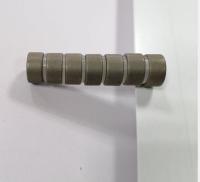 China Corrosive Resistant Monopole Samarium Cobalt Magnets Round Rare Earth Magnet for sale