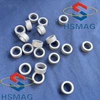 China HSMAG Samarium Cobalt Magnet Rare Earth SmCo Magnet 20mm 10mm Corrosion Proof for sale