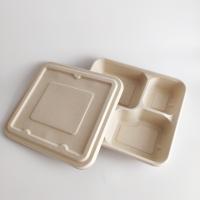 China Smart Disposable Paper Pulp Molding Food Tray Producing Machine With Two Robot Arms for sale