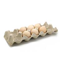 China Eco Friendly Paper Molded Machine For Making Egg Carton Fruit Tray Coffee Cup Tray for sale
