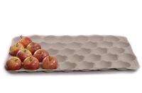 China Eco Friendly Paper Molded Machine For Making Egg Carton Fruit Tray Coffee Cup Tray for sale