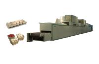 China Fully Automatic PLC Control Egg Tray Production Machine Customized Size for sale