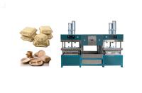 China Oil Proof Pulp Molding Machine To Produce Salad Box for sale