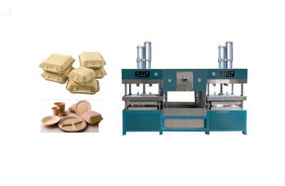 China Oil Proof Pulp Molding Machine To Produce Salad Box for sale
