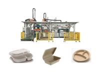 China 100mmx800mm Thermal Forming Sugarcane Bagasse Plates Machinery Customizable Size for sale