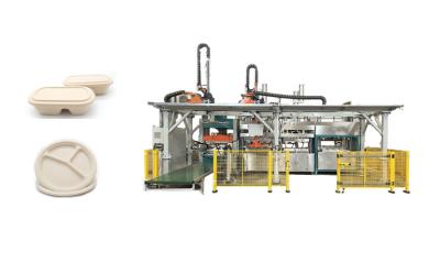 China Biodegradable Lunch Tray Pulp Molded Production Machine for sale