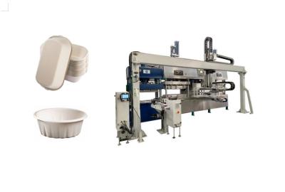 China Biodegradable Pulp Molded Meat Tray Machine for sale
