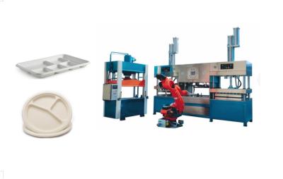 China Biodegradable Pulp Molded Plate Production Line for sale