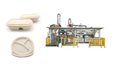 China Fully Automatic Wood Pulp Food Serving Tray Production Line for sale