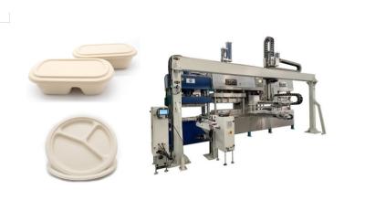 China Automatic Sugarcane Bagasse Pulp Sustainable Disposable Fast Food Tray Machine for sale