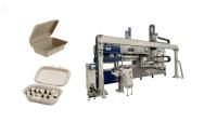 China Efficient Paper Pulp Molding Machinery Capacity 4000-6000Pcs / Hour PLC Control System for sale