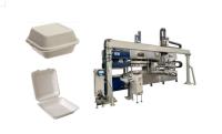 China Paper Molded Pollution Free Clamshell Box Production Line With Single Walking Robot Arm for sale