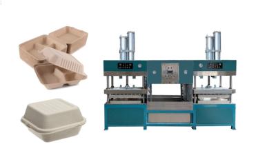 China Oil Proof Pulp Molding Clamshell Lunch Box Machine To Produce Salad Box for sale