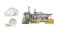 China Nature To Nature Pulp Molded Smart Tableware Machine With Double Robot Arms for sale