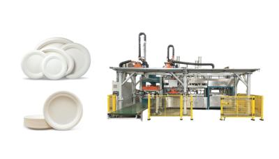 China Nature To Nature Pulp Molded Smart Tableware Machine With Double Robot Arms for sale