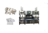 China Replace PP PE Pulp Fiber Salad Bowl Pizza Tray Making Machine for sale