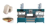 China Replace Foam Paper Pulp Burger Box Meat Tray Forming Machine for sale