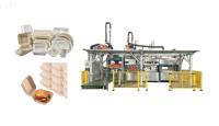 China Disposable Pulp Molding Tableware Equipment for sale