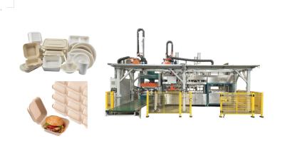 China Disposable Pulp Molding Tableware Equipment for sale