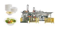 China Pulp Molding Disposable Dinner Packaging Machine for sale