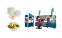 China Automatic Paper Pulp Molding Machinery For Biodegradable Tableware Production for sale
